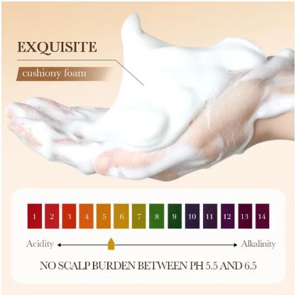 Bioaqua Pack Of 20pcs Rice Raw Pulp , Added Rice Extract Shampoo 10g S ...